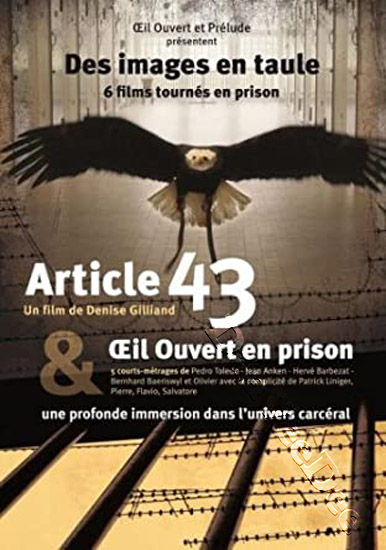 Article 43 NEW PAL Documentaries 2-DVD Set Denise Gilliand | eBay